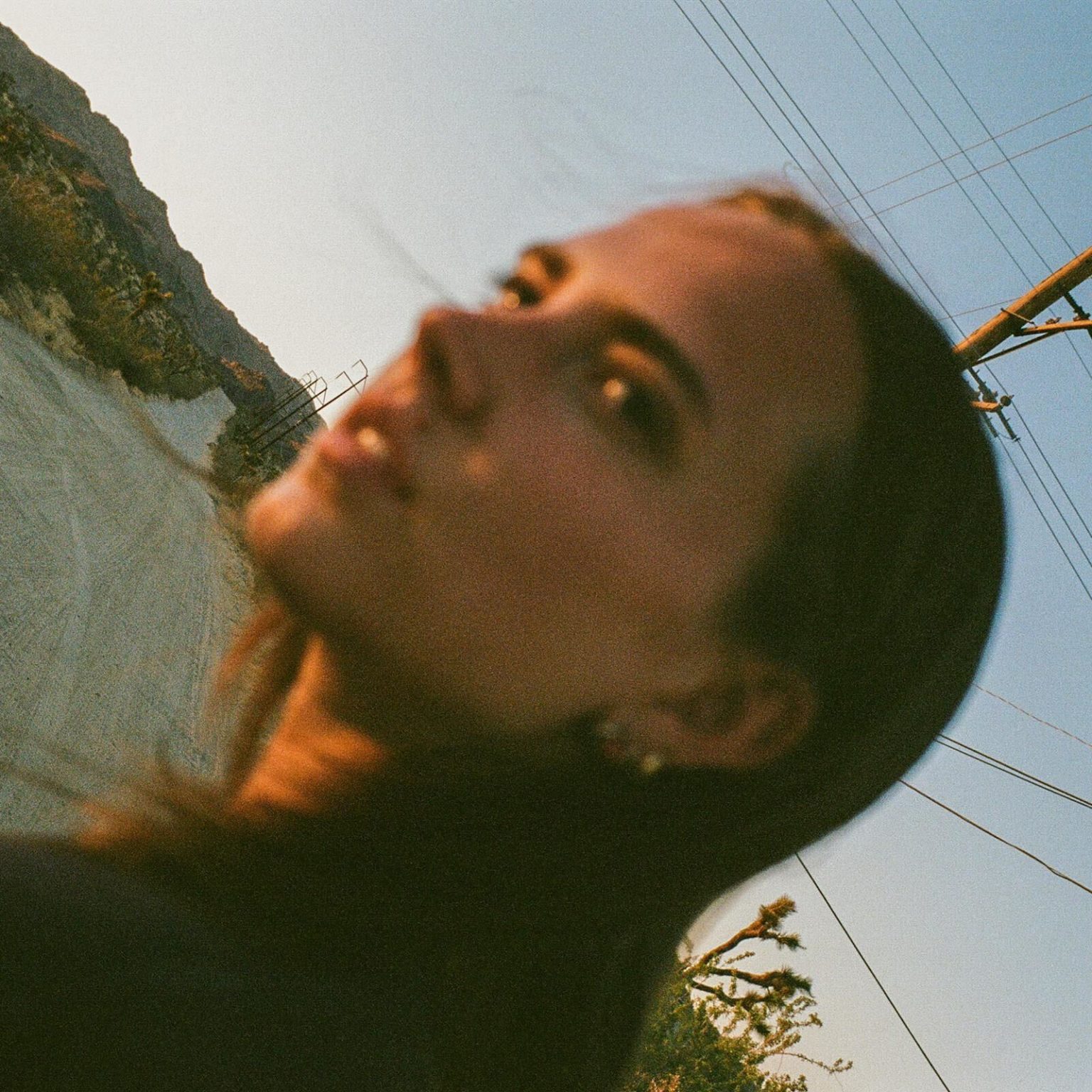 Frances Whitney - 604 Records